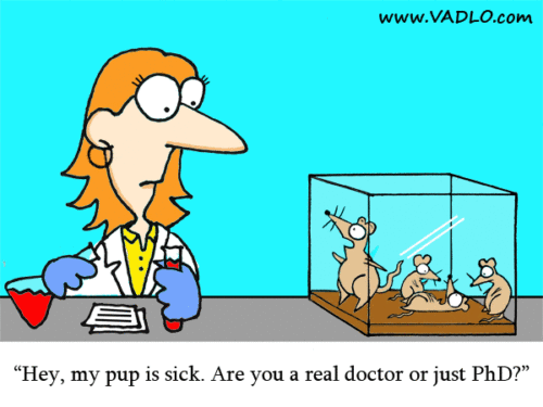 cartoon – phd or doctor | Evolutionary Parenting | Where History And ...
