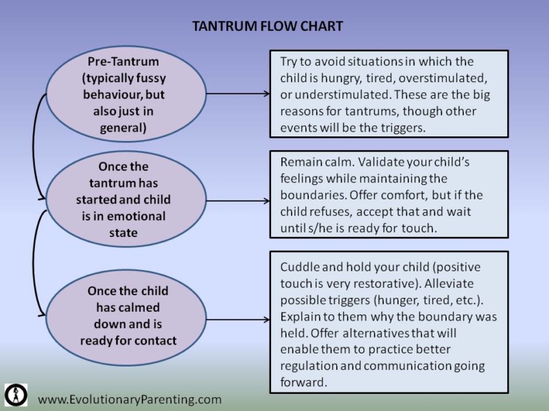 Tantrums: Moving Beyond the Black and White of Ignoring or Giving In ...